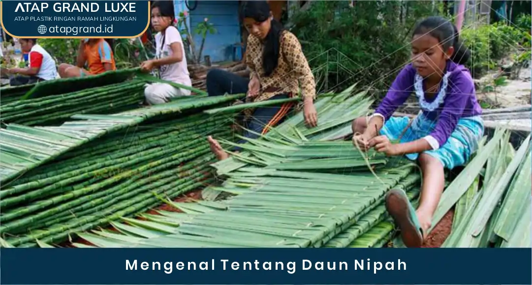 Cara Memilih Atap Daun Nipah yang Berkualitas - Atap uPVC & Atap ...