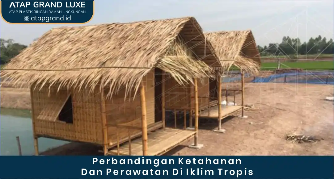 Perbandingan Atap Nipah dan Daun Kelapa untuk Hunian Tropis - Atap uPVC ...
